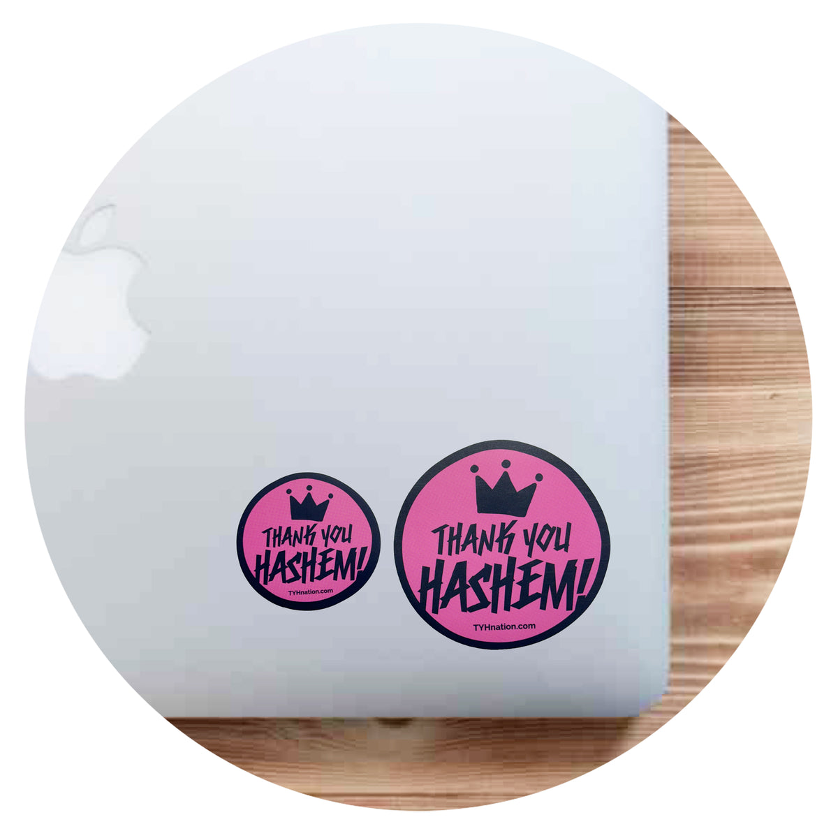 Sticker Pack / TYH Logo - Pink [10 Stickers] – Thank You Hashem